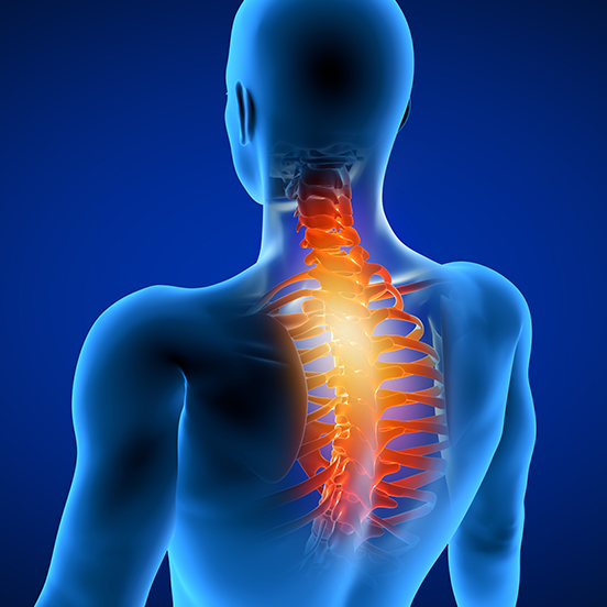Conditions we Treat – OrthoPaedic